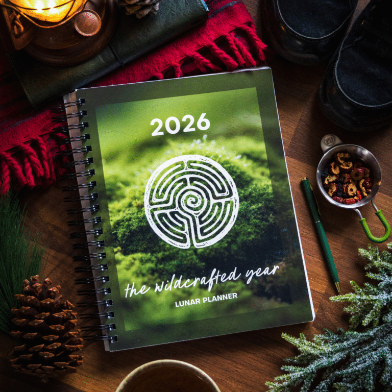 2026 Lunar Planner - Wildcrafted Year Print Edition – Trail of Adventure